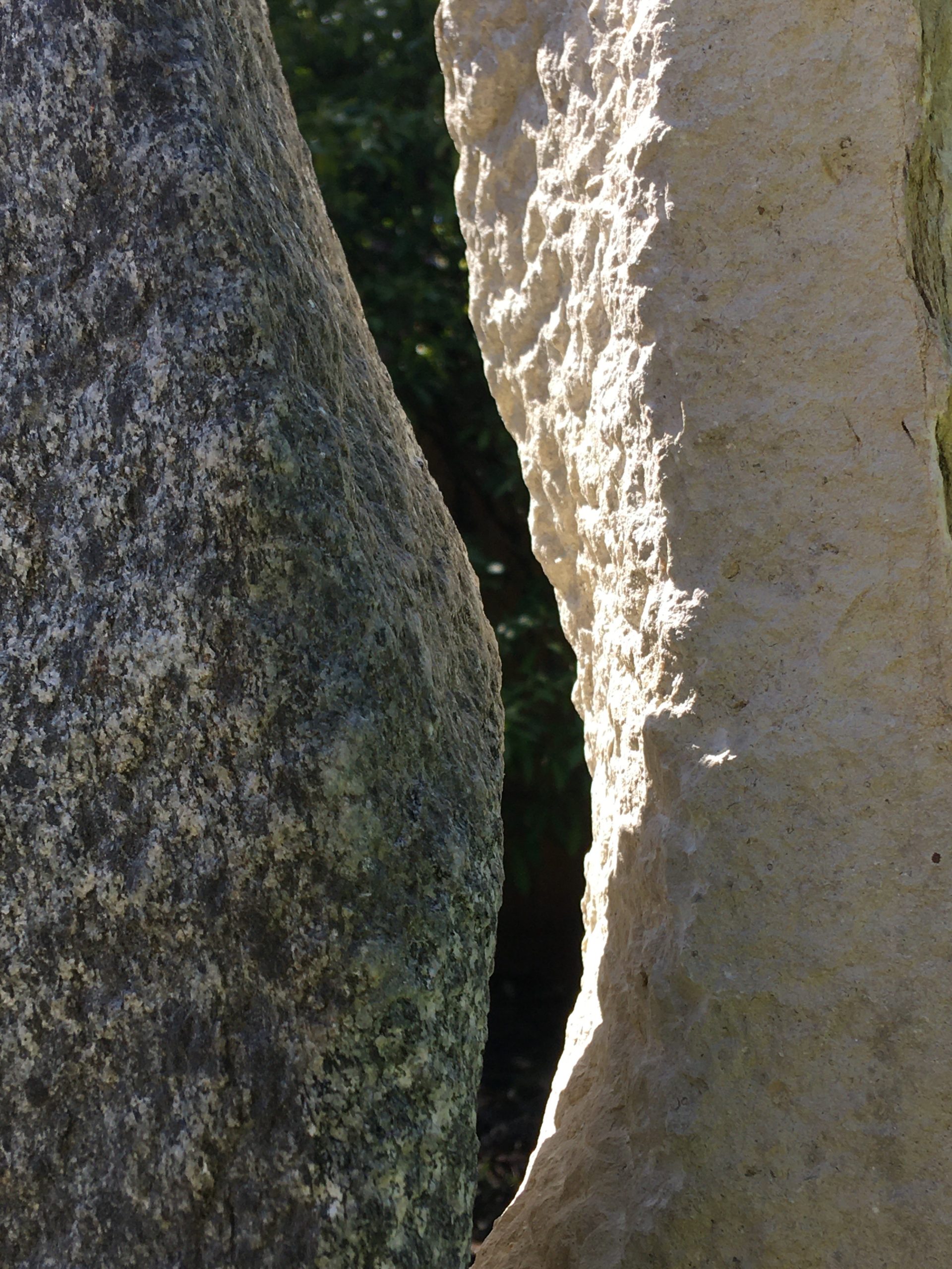 Rafael Sebba - NWSSA Website